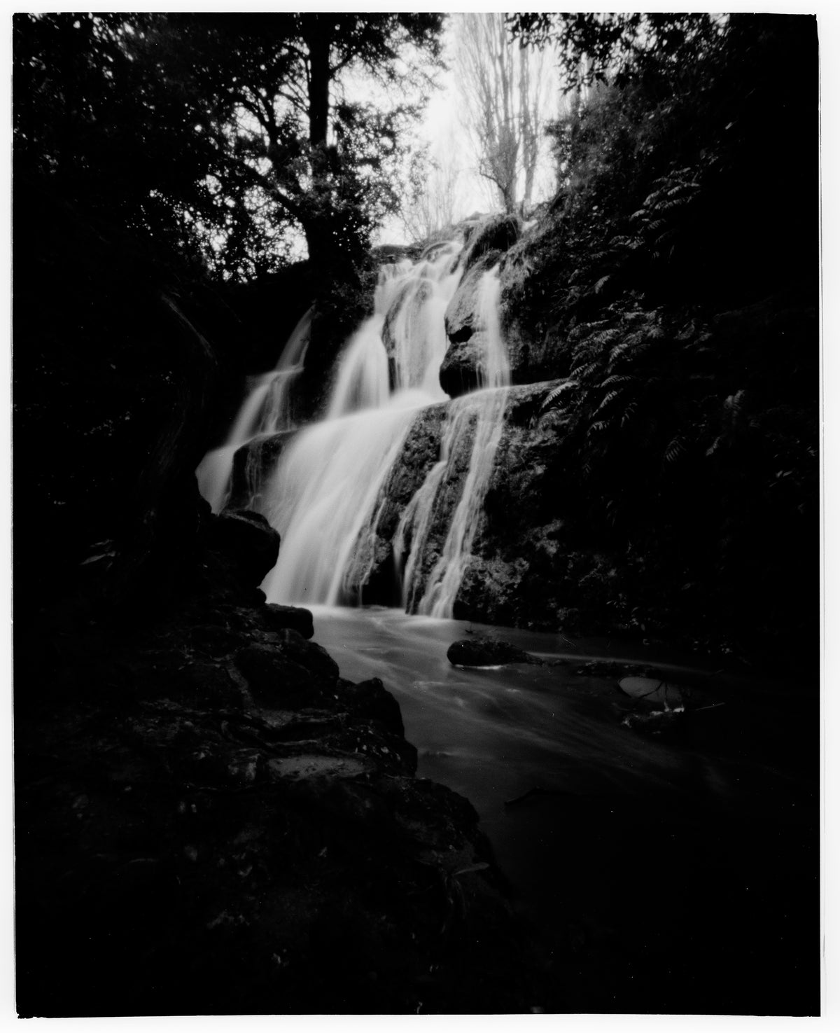Chasing Waterfalls and Ten Questions for sean aickin by Wiki Waitai ...