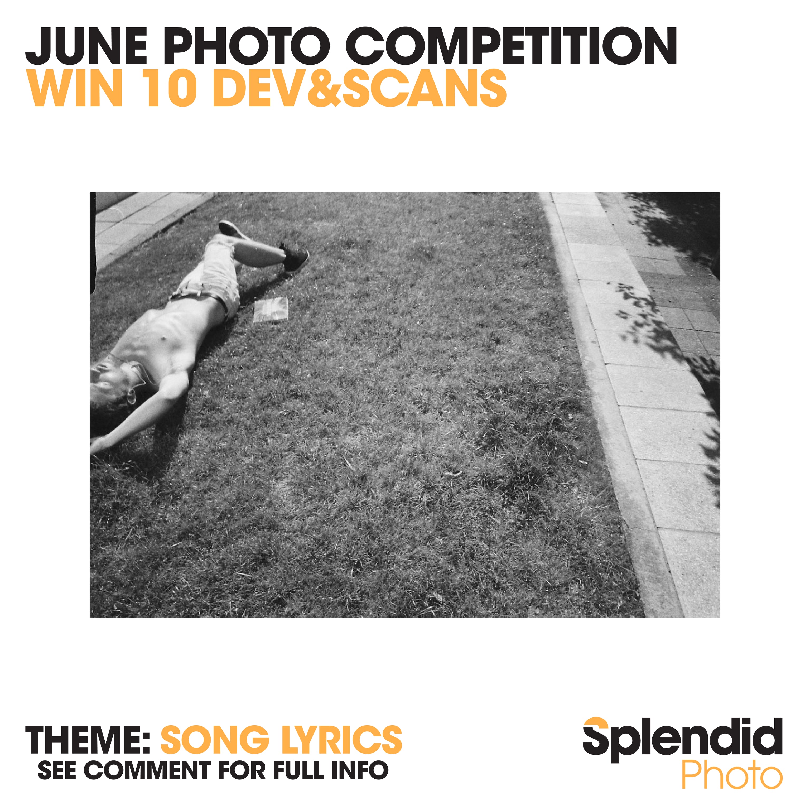 June Photo Competition. Theme: Song Lyrics– splendid.nz