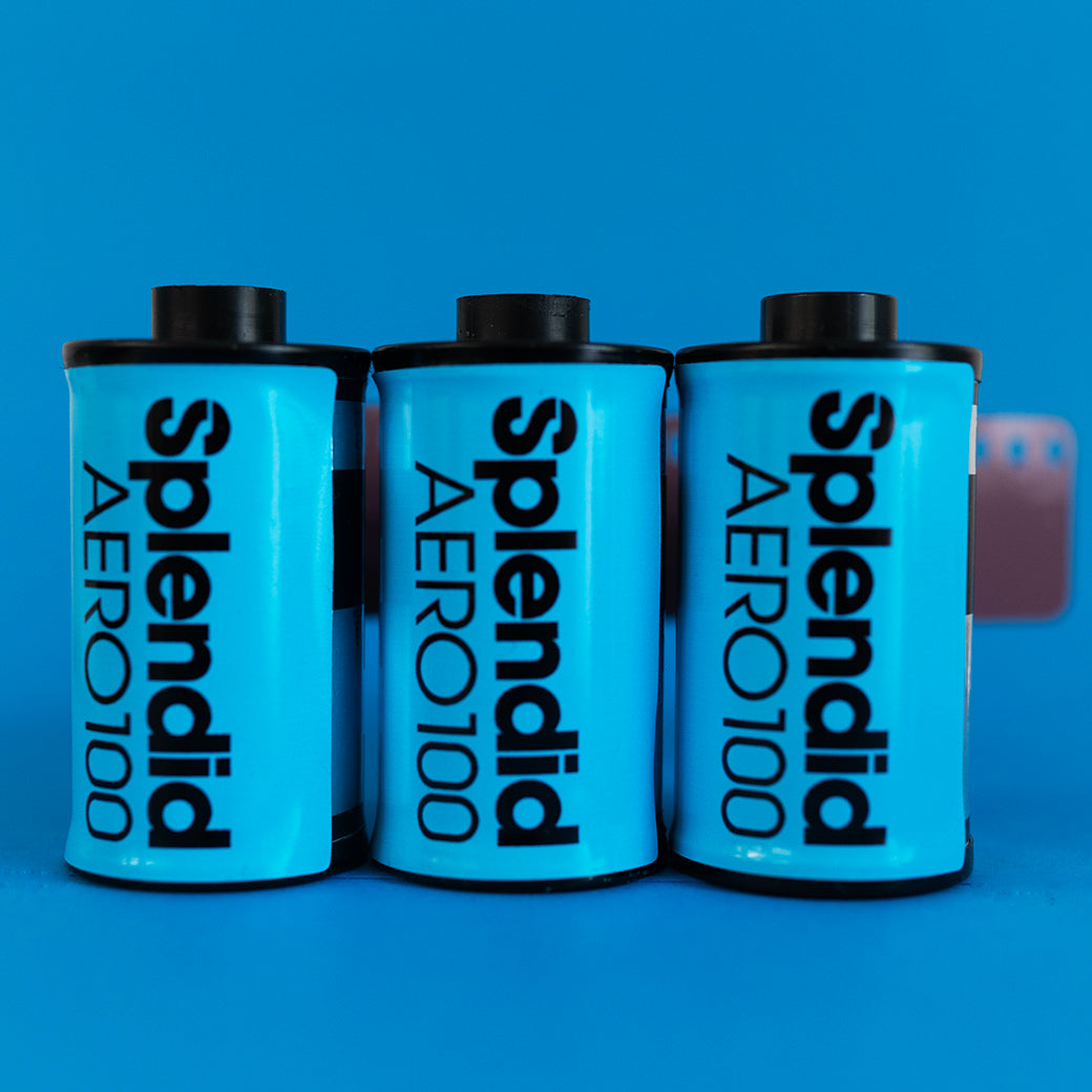 Splendid Photo– splendid.nz