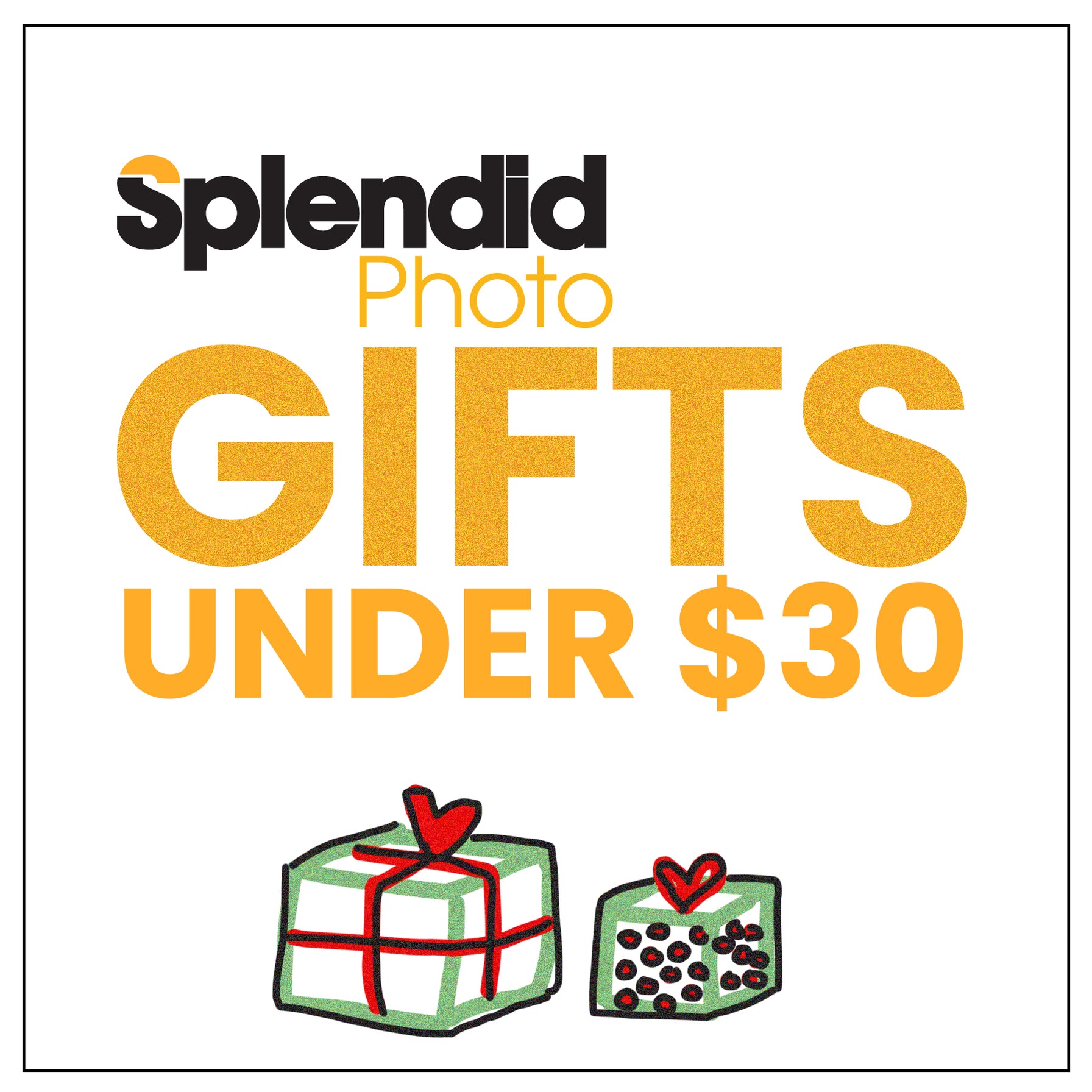 Splendid Photo– splendid.nz