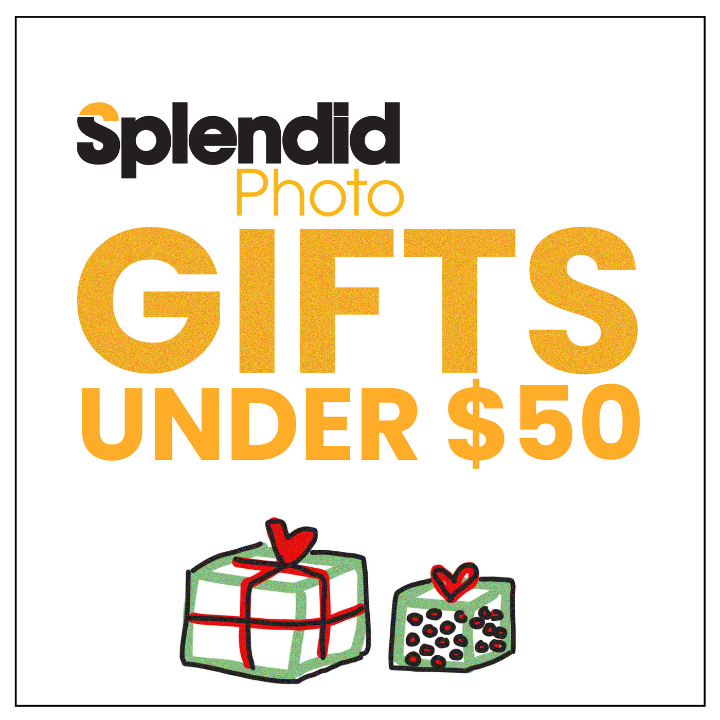 Splendid Photo– splendid.nz